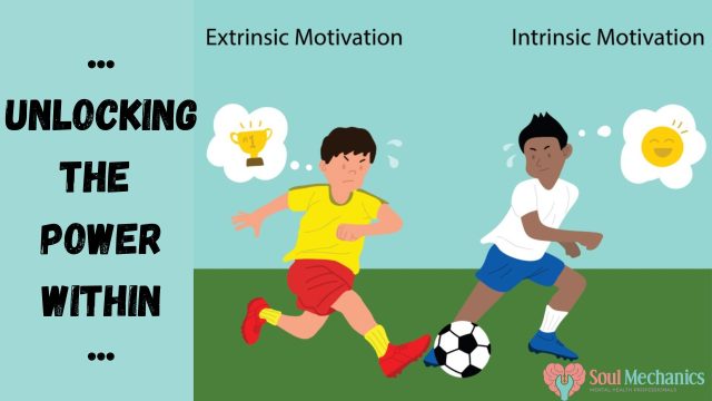 Intrinsic & Extrinsic Motivation: Unlocking The Power Within - Soul ...