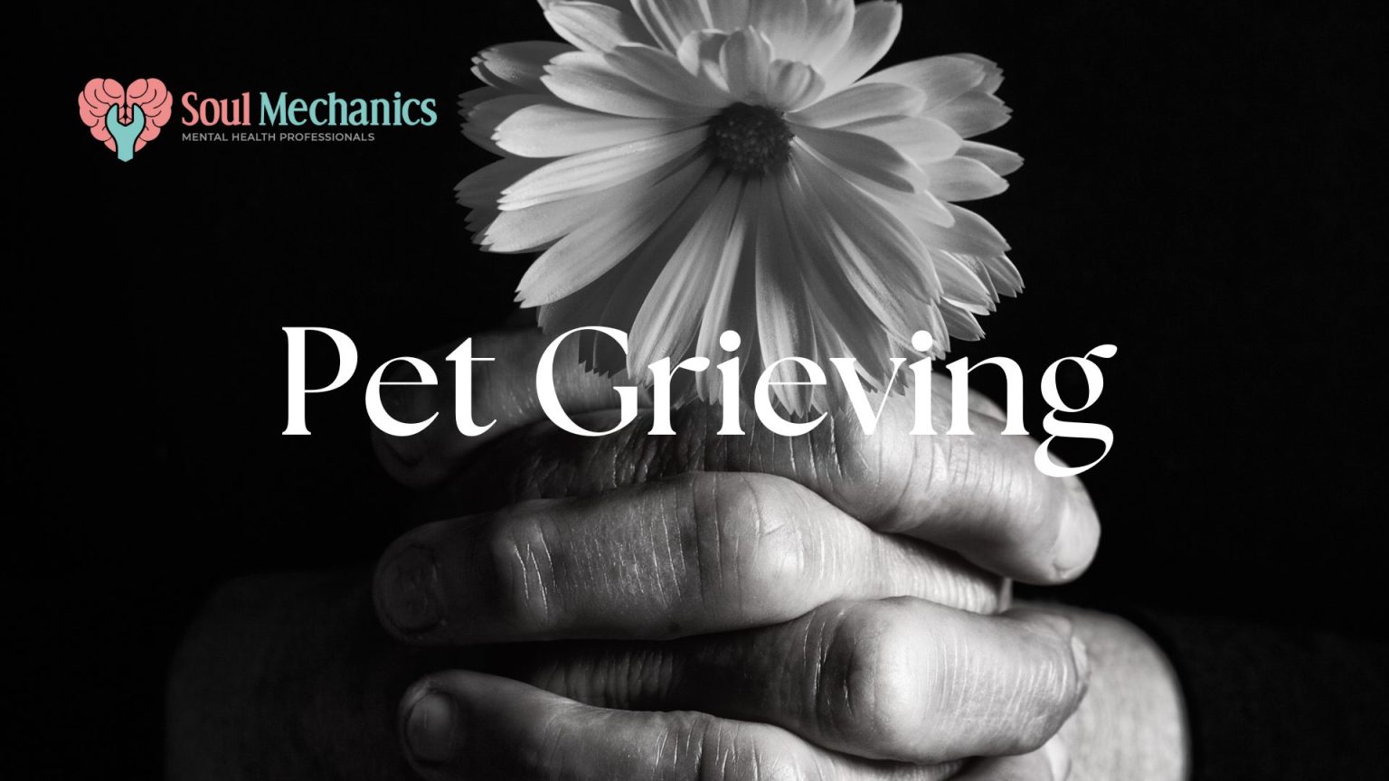Healing Hearts: Navigating the Journey of Pet Grieving